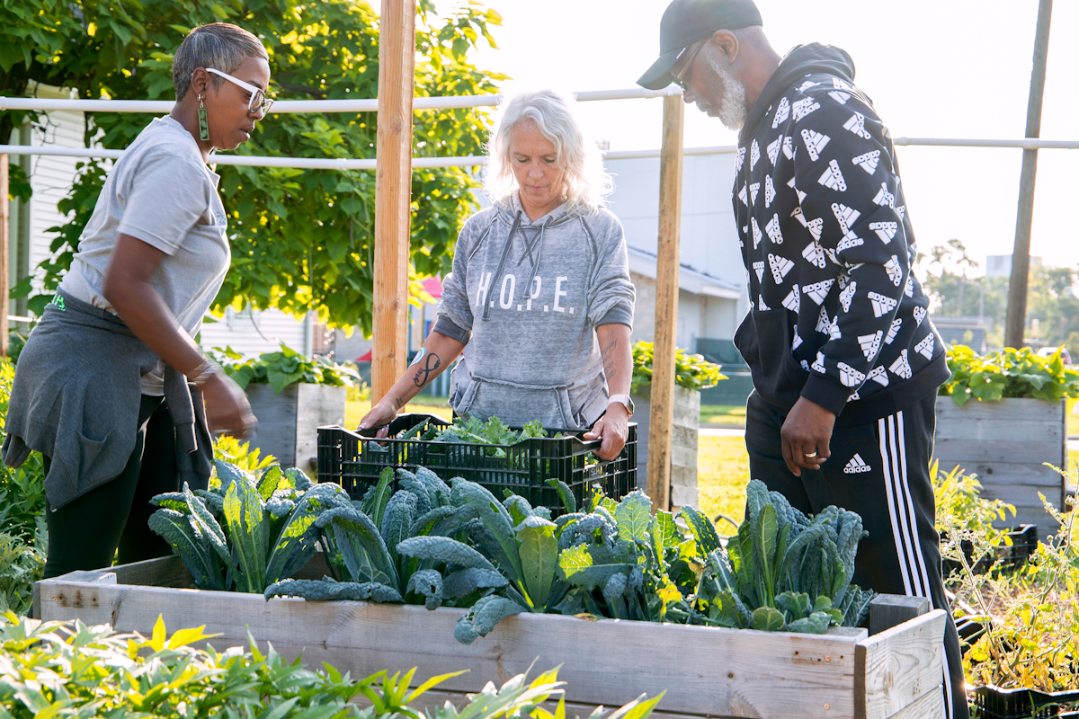 Farm-A-Lot Application | Lucas County Land Bank